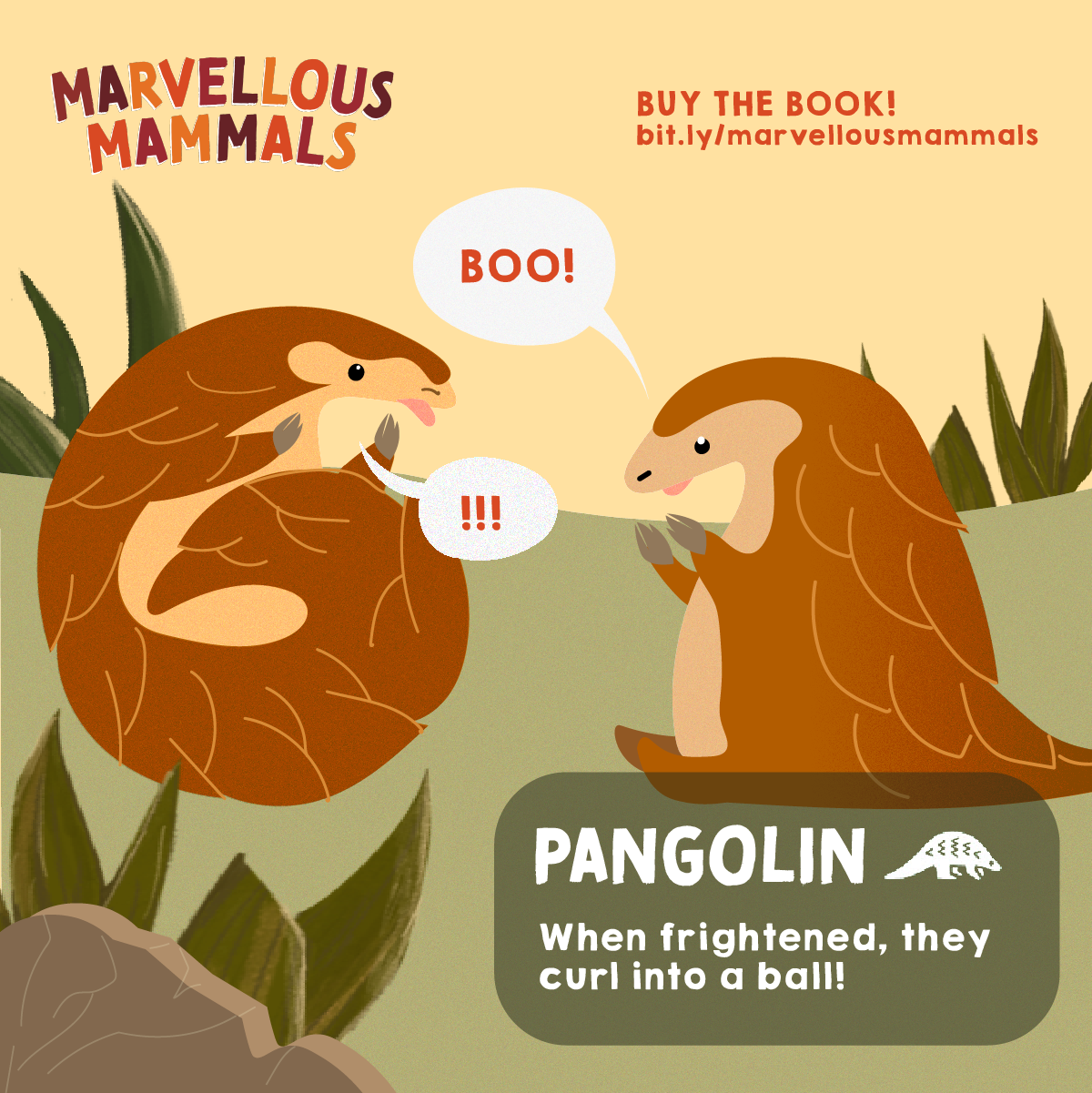 Pangolin: A Critically Endangered Mammal Like No Other | Difference Engine